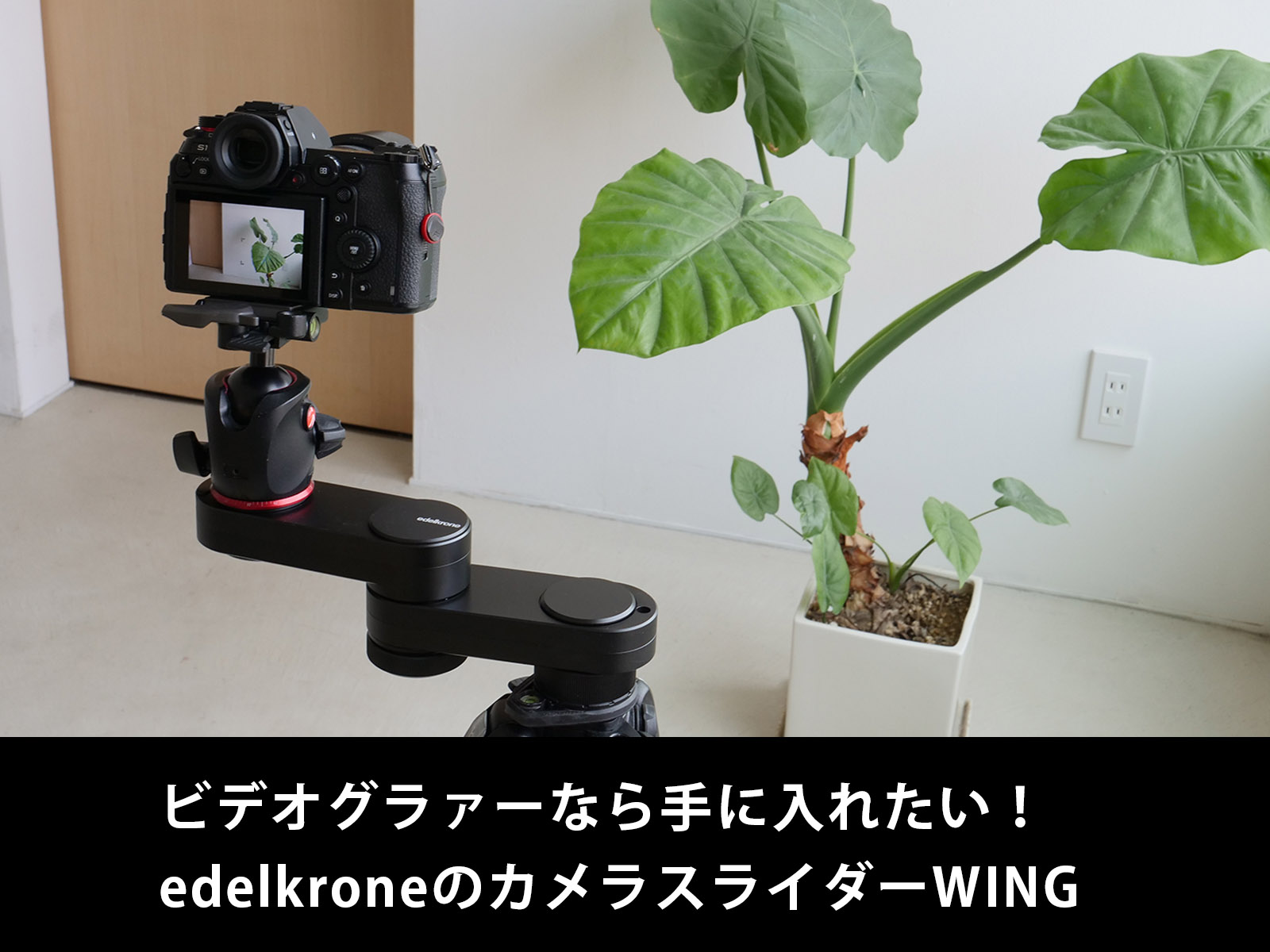 【おすすめ動画機材】edelkrone カメラスライダー WING – 物と音